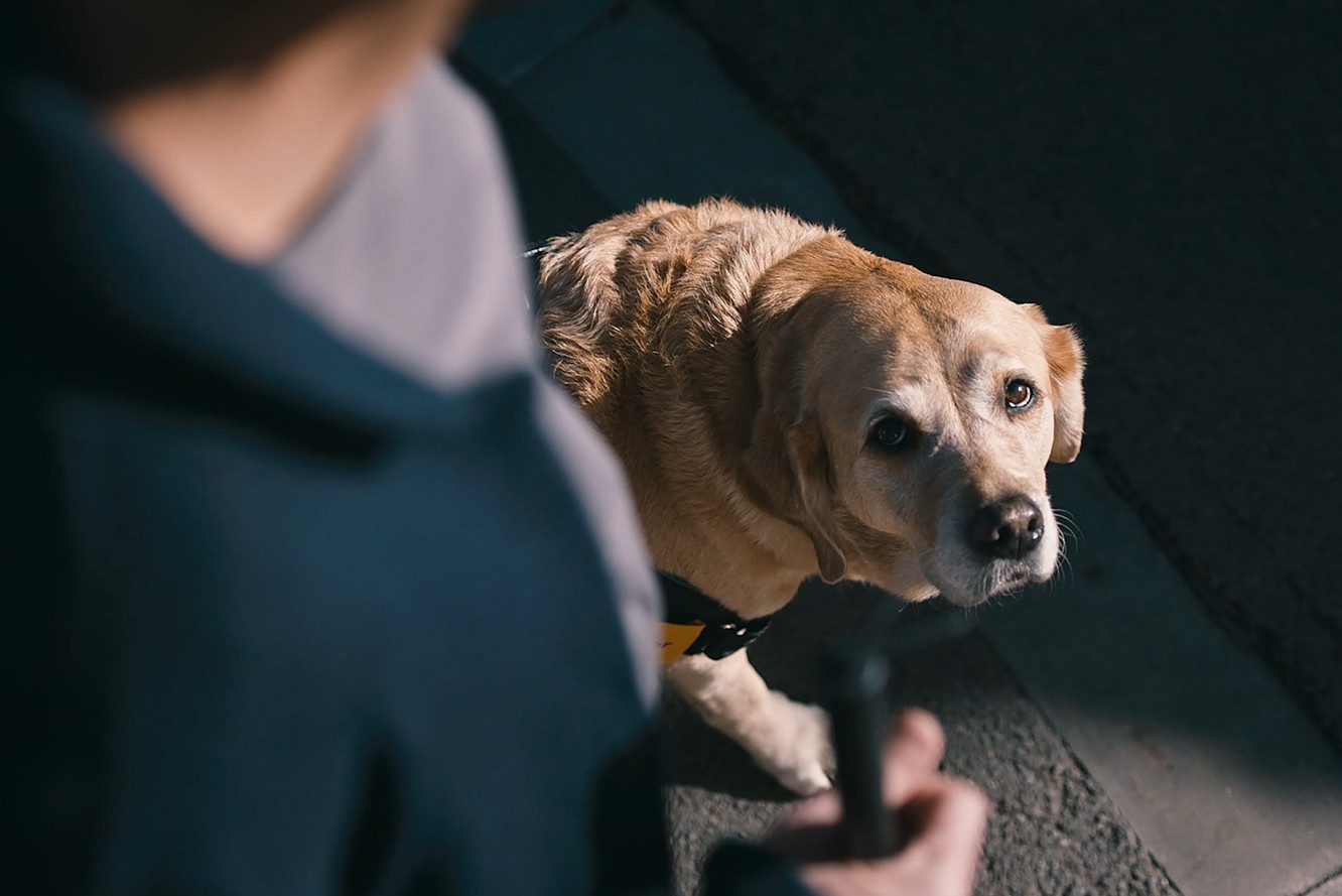 Accelerator de sustenabilitate