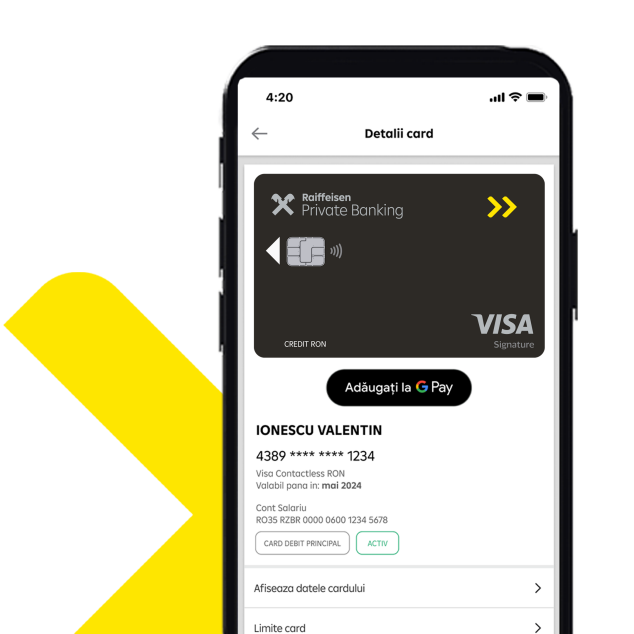 Cardul Visa Credit Signature