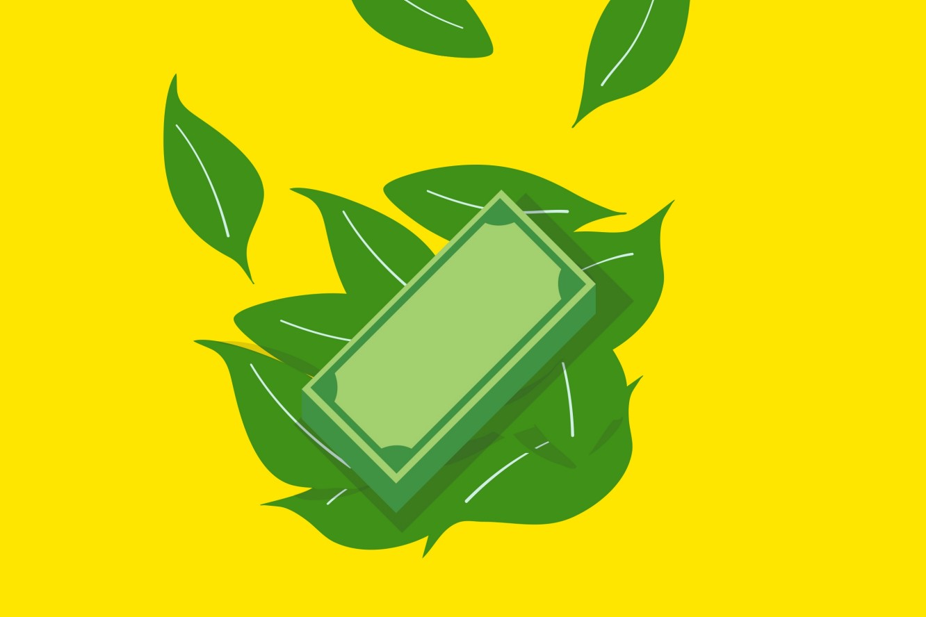 Cu cardul galben primești pe bune bonus 300 de lei!